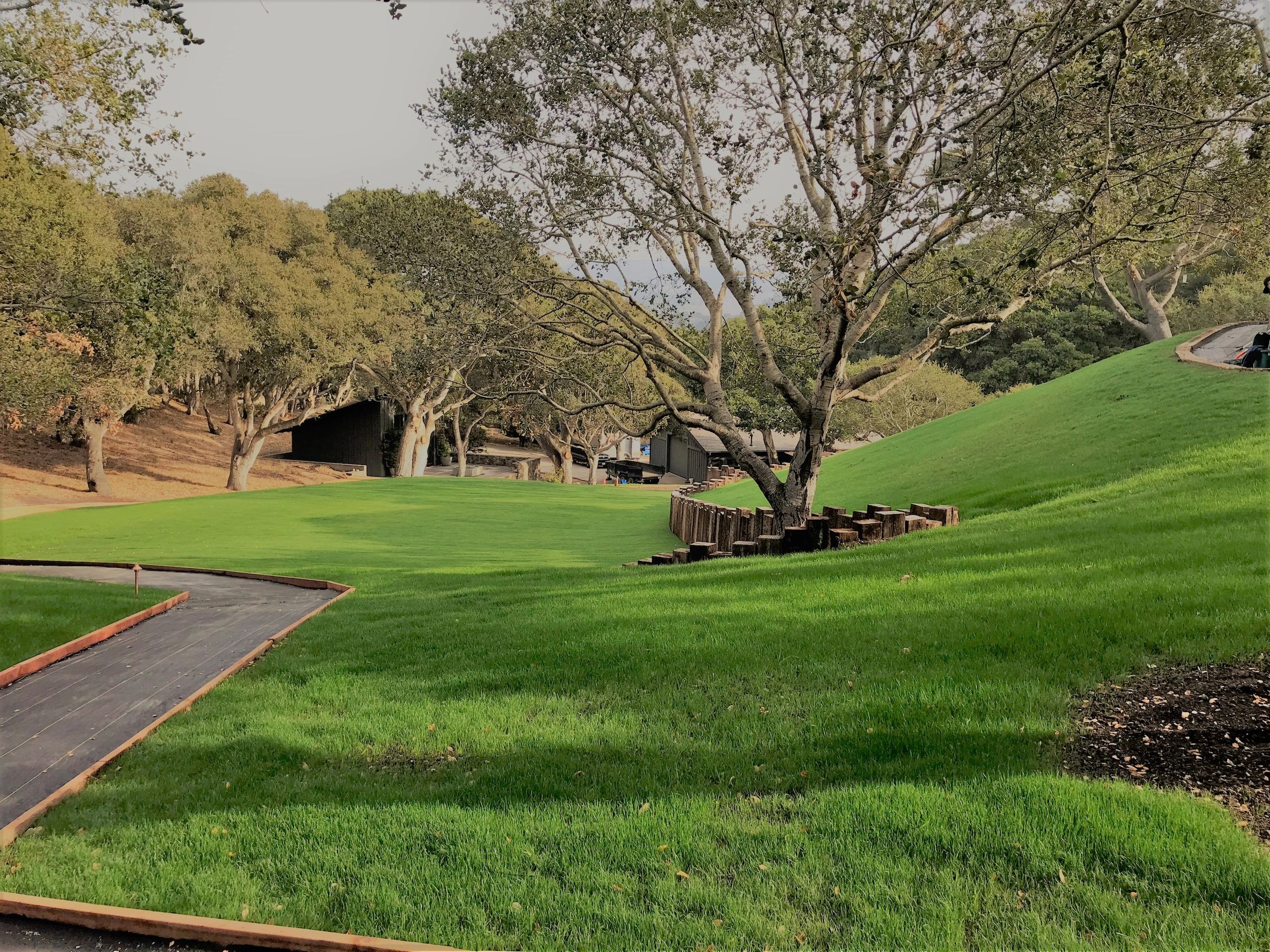 About | Superior Hydroseeding, Inc.