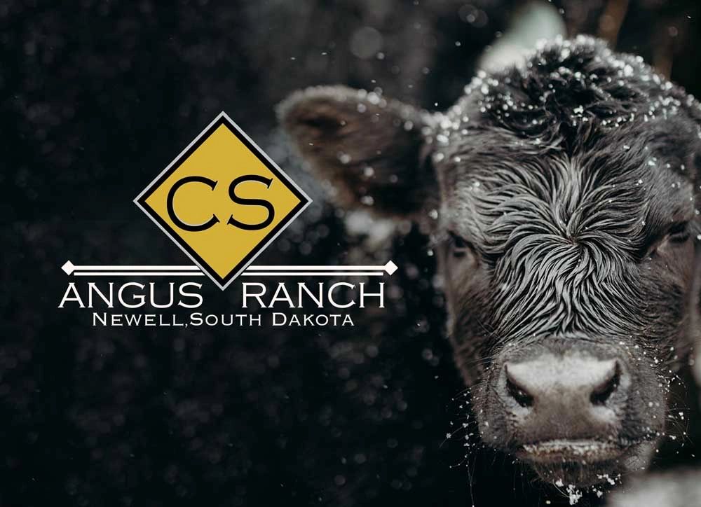 CS Angus Ranch