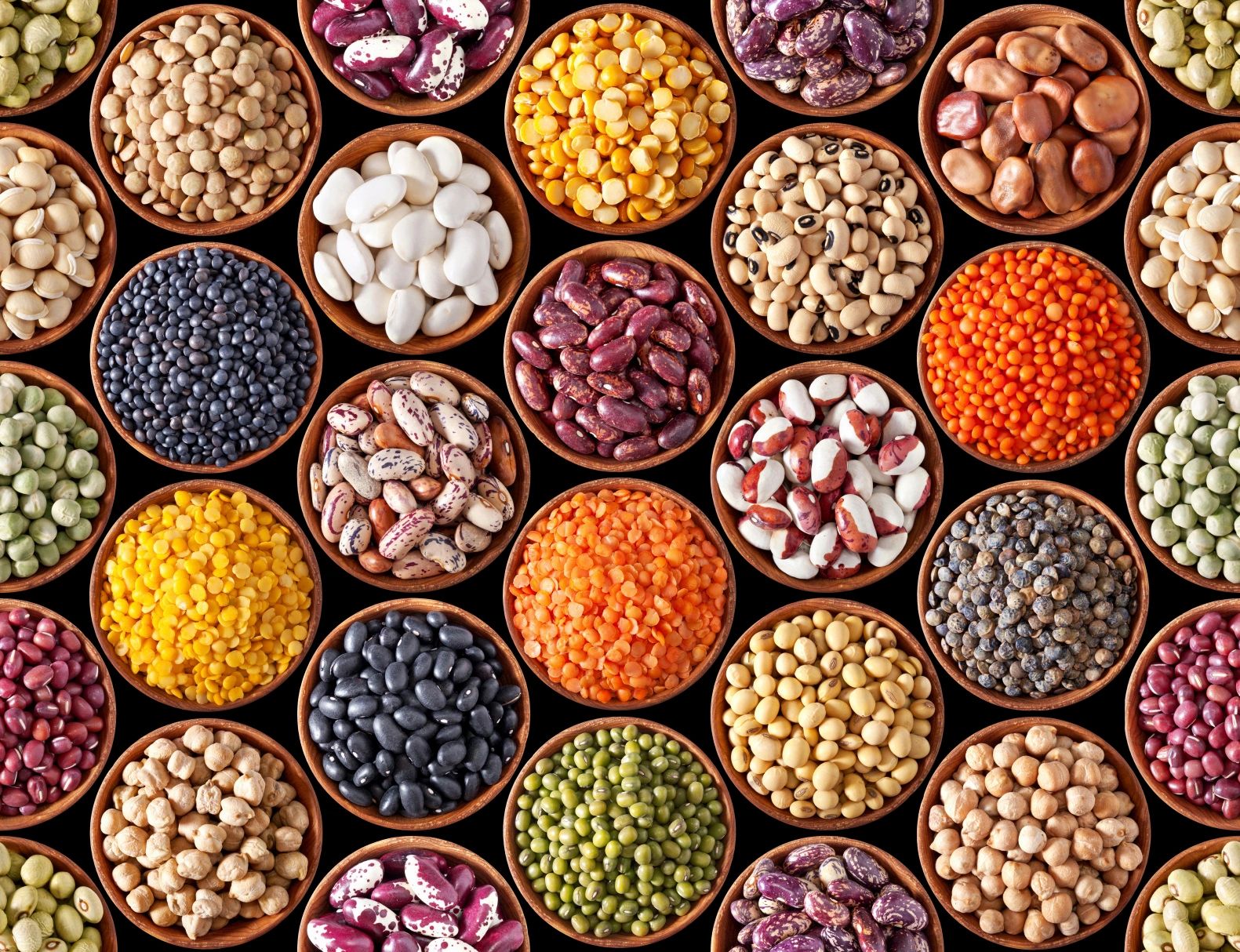 Saraswati Traders: Wholesale Pulses & Grains Supplier