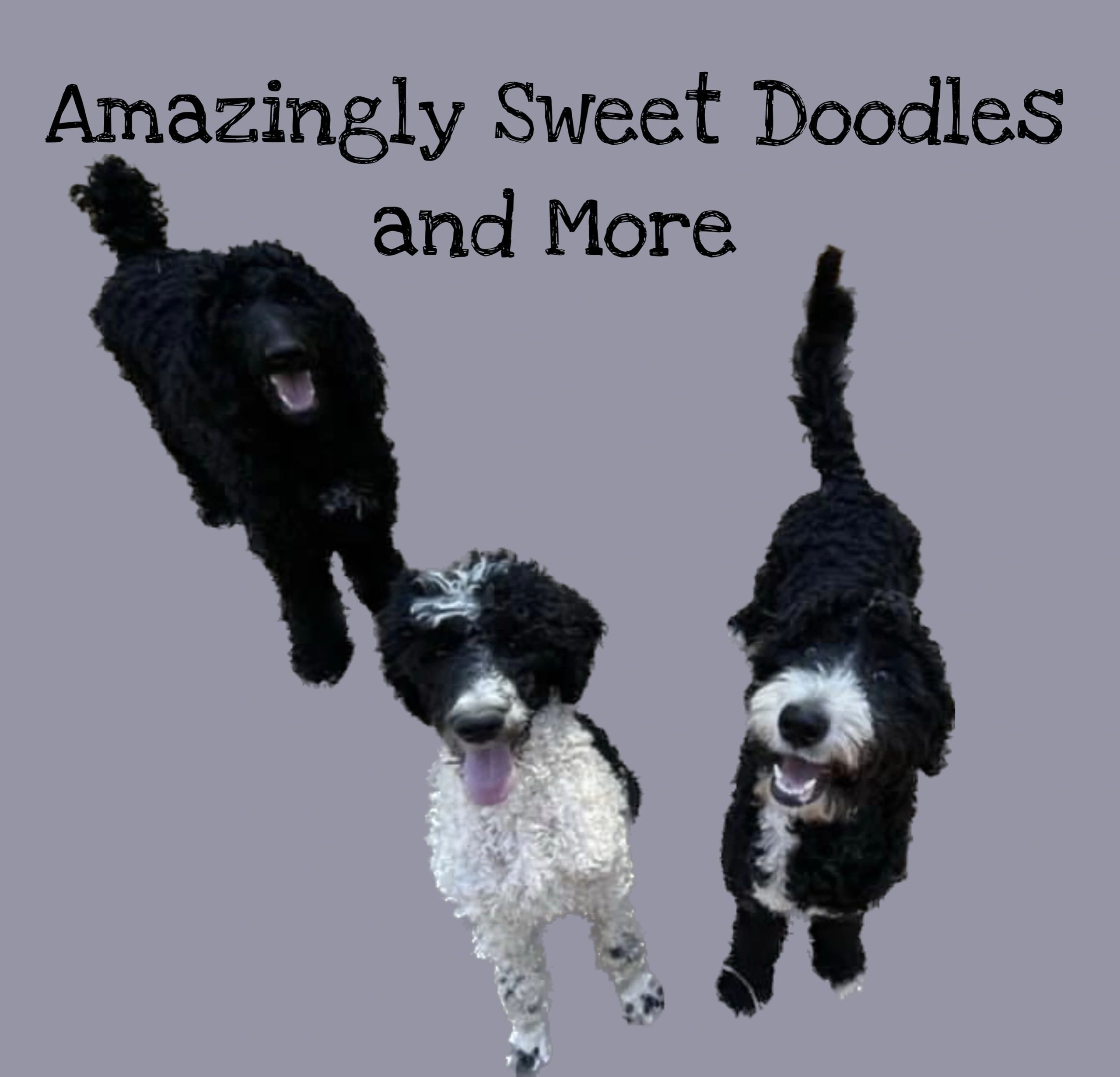 Amazingly Sweet Doodles and More