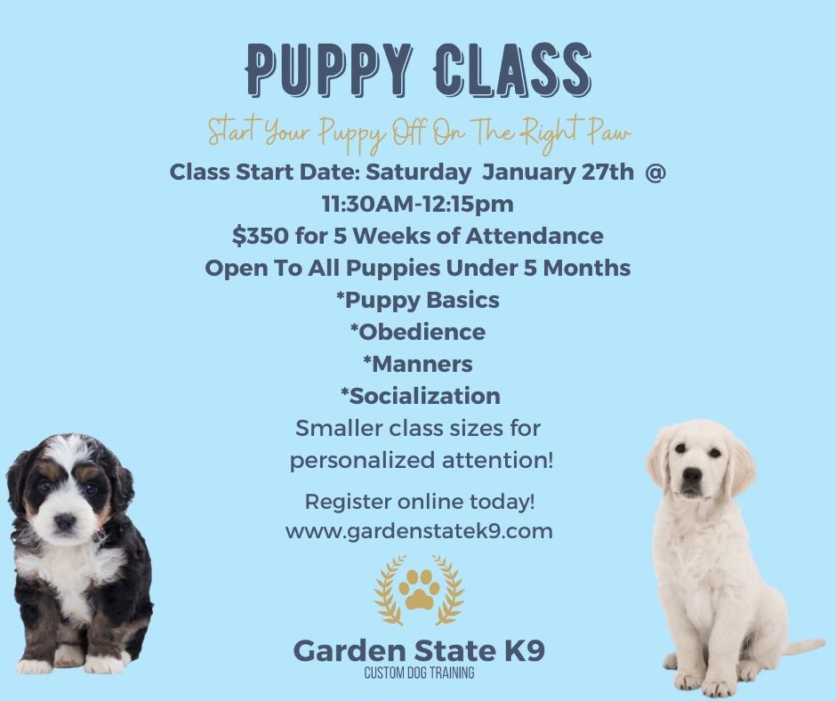 Puppy Class January 27th 11:30am