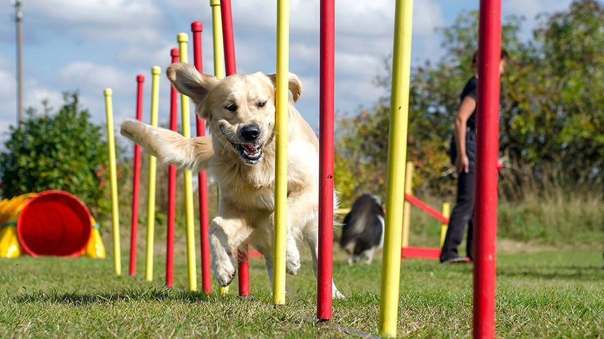 Introduction to Agility
