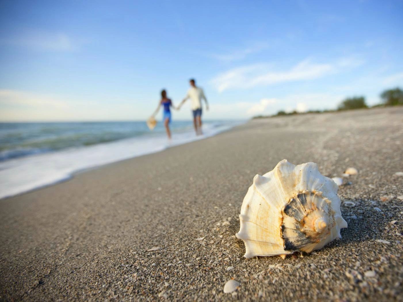 Sunset Shell - Sanibel, FL