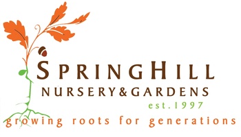 Spring Hill Nursery and Gardens - Plants, Nursery, Gardens