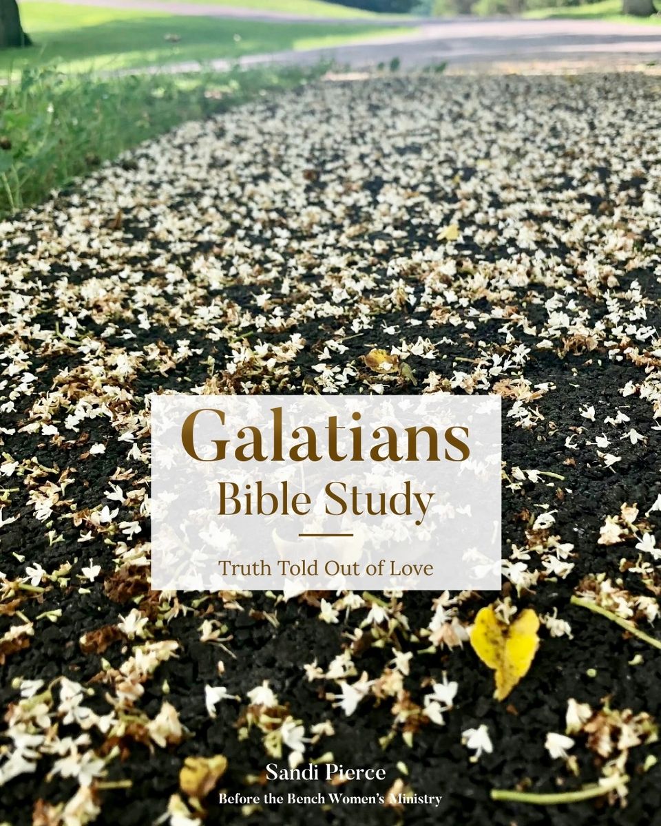 Galatians Bible Study | PDF Digital Download