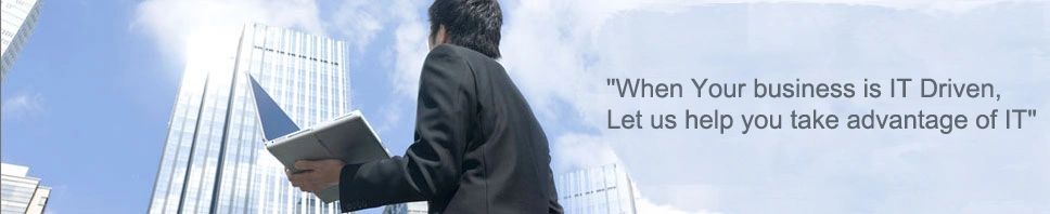 Information Technology - Basic Business IT Consulting Services
