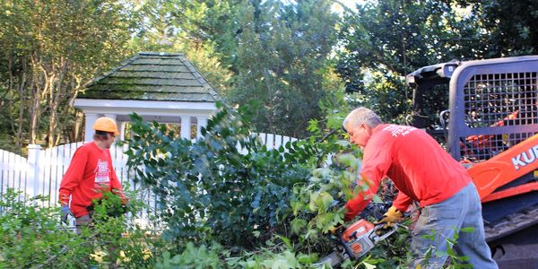 Todd Pate Tree Service