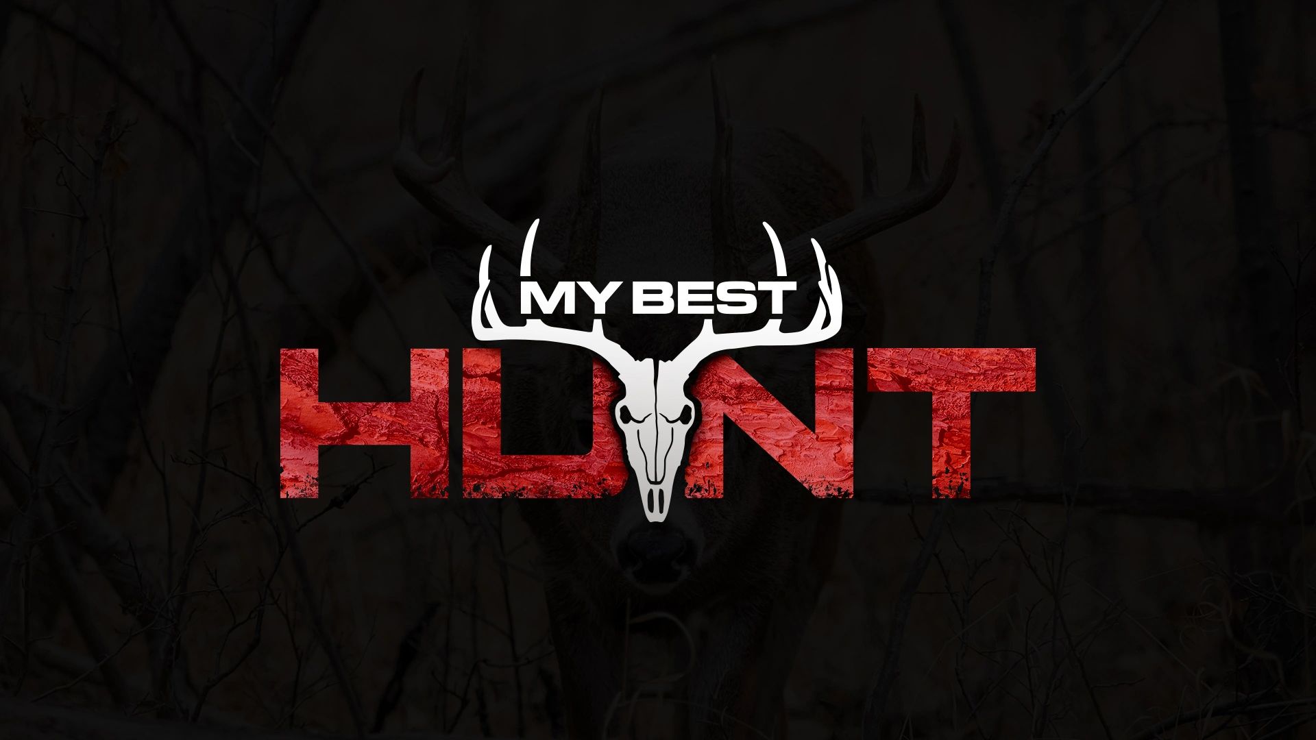 My Best Hunt