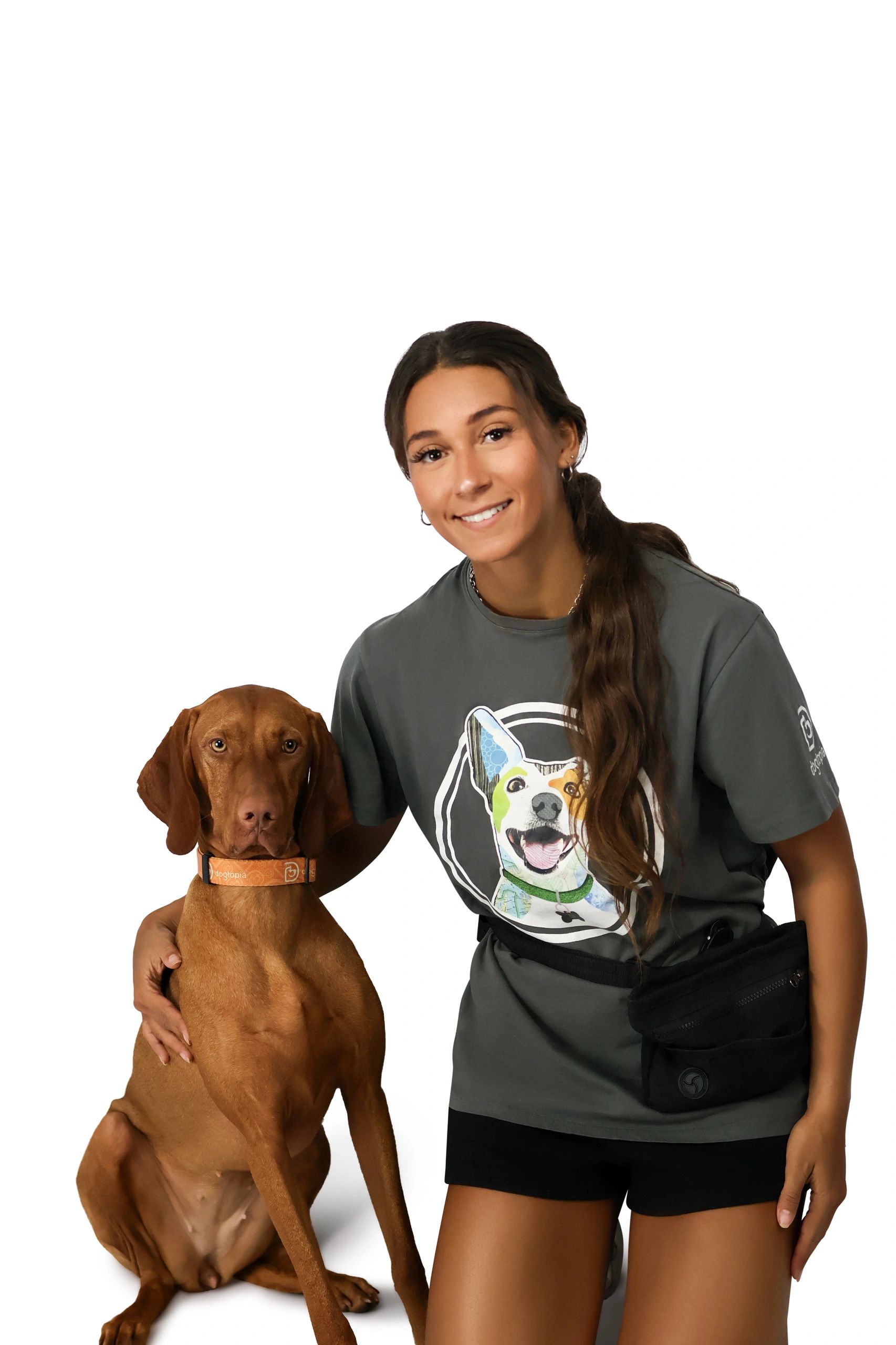 Expert Dog Behavior Training for Your Furry Friend