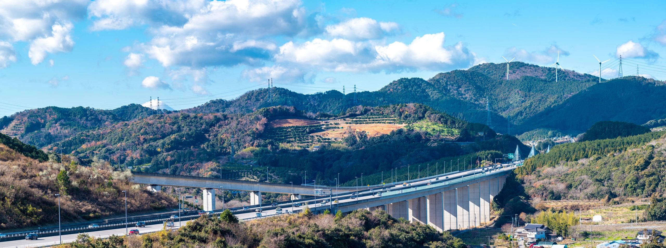 What Are Auction Grades?