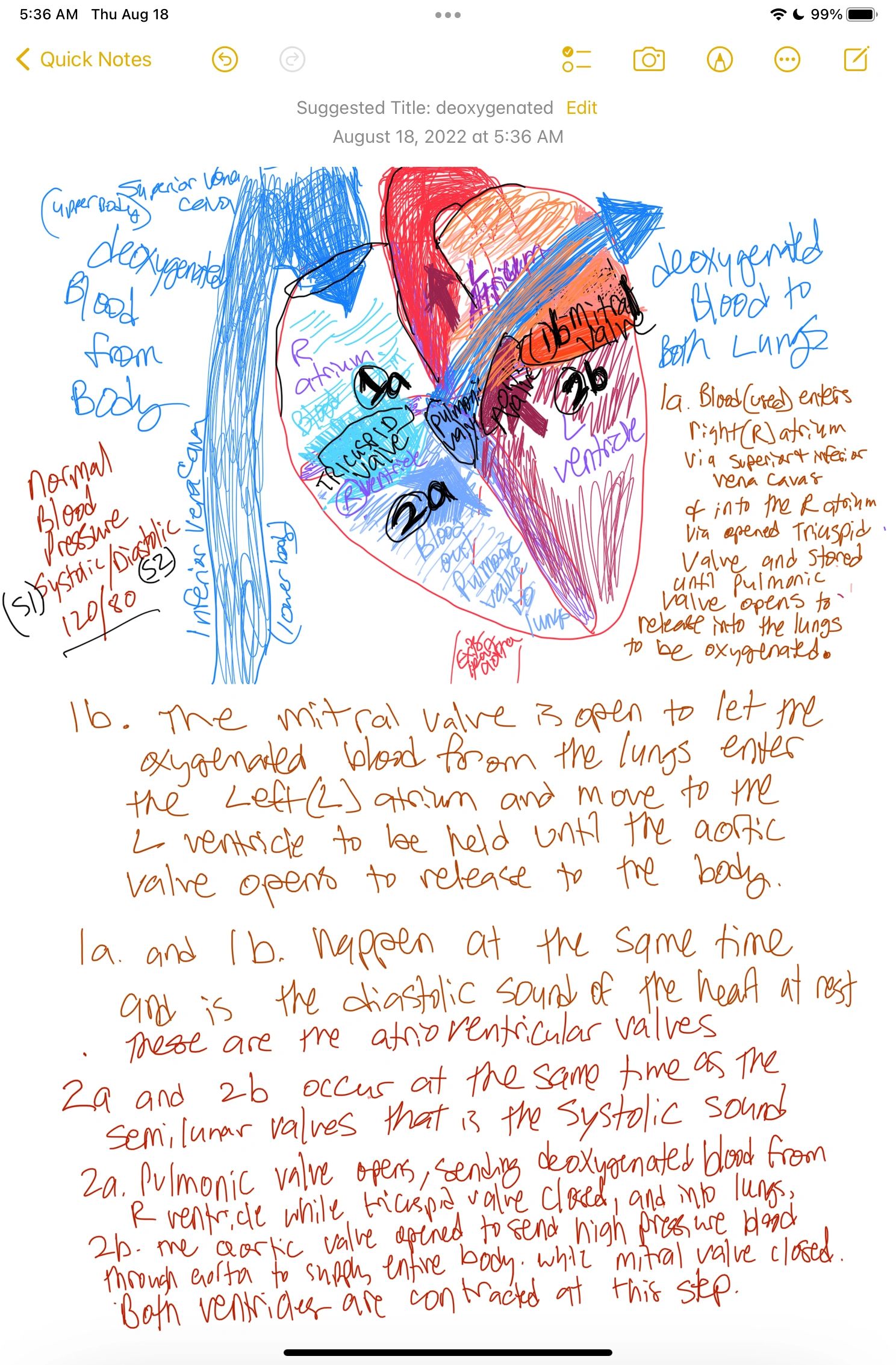 Heart Health Warning Signs