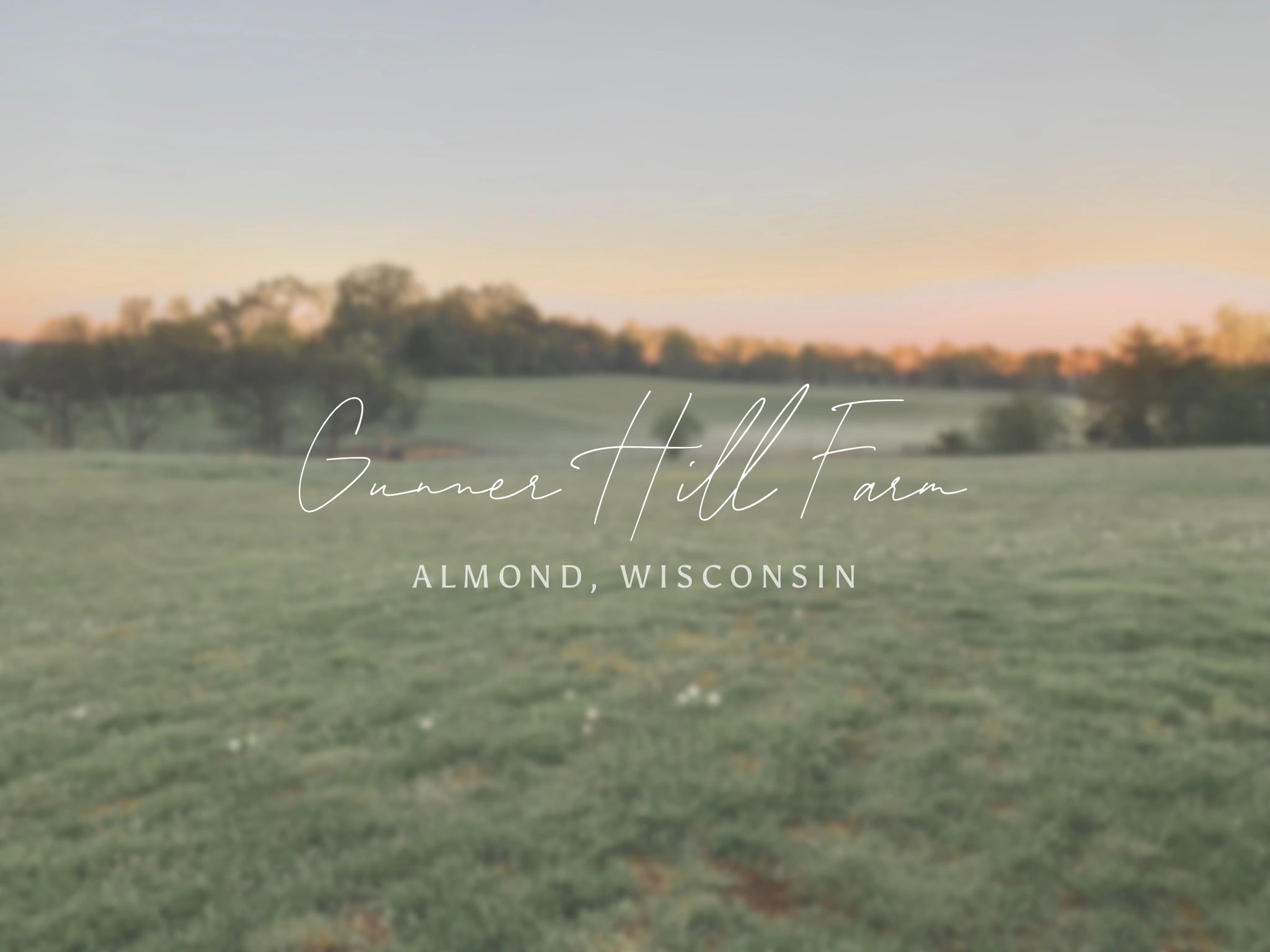 Gunner Hill Farm of Almond, Wisconsin