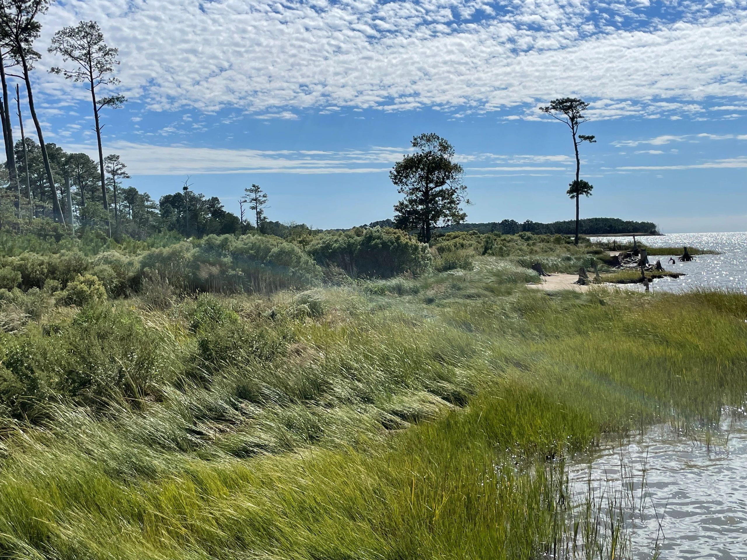 Coastal Resource Management