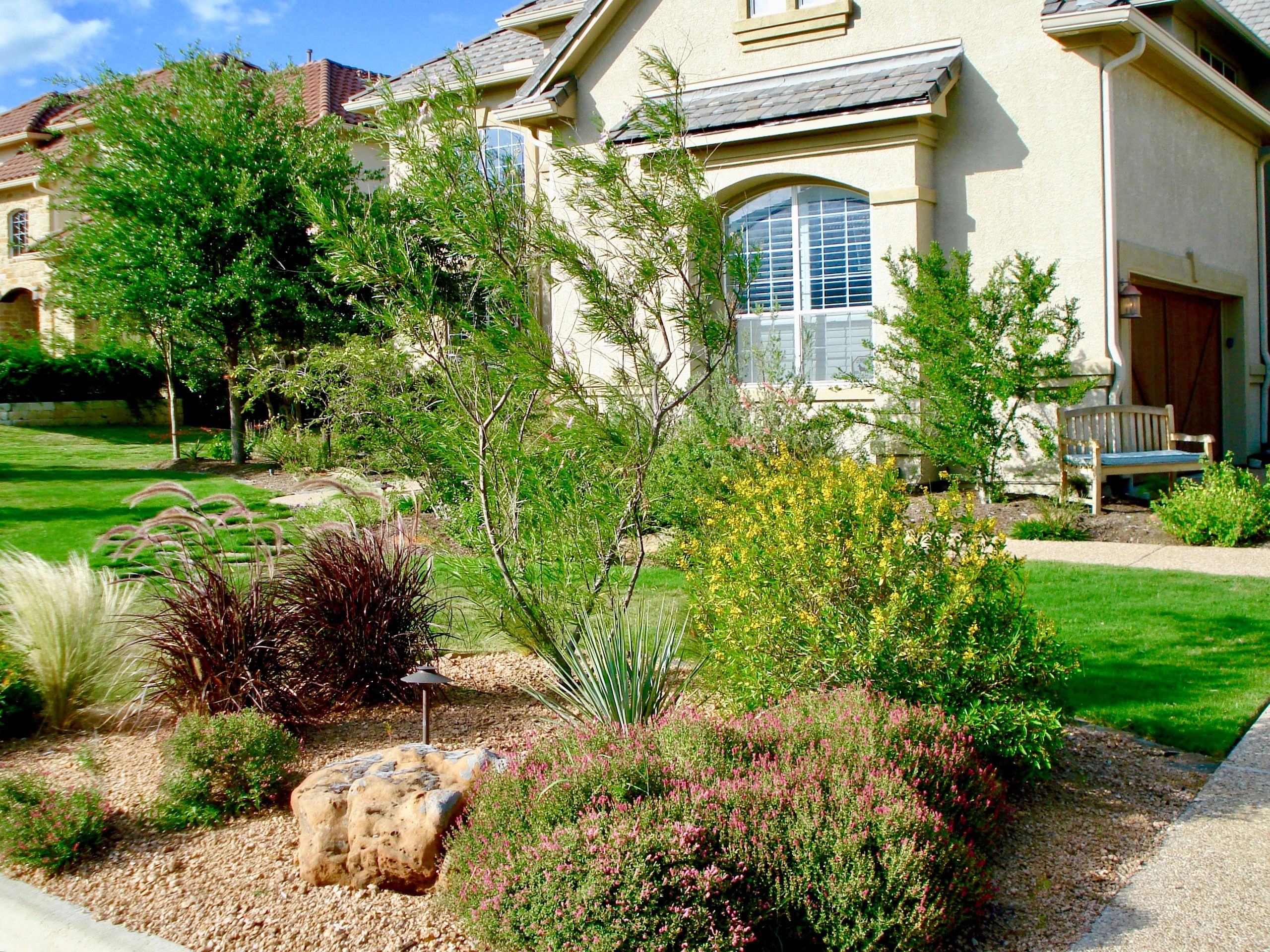 Goodness Grows in Austin