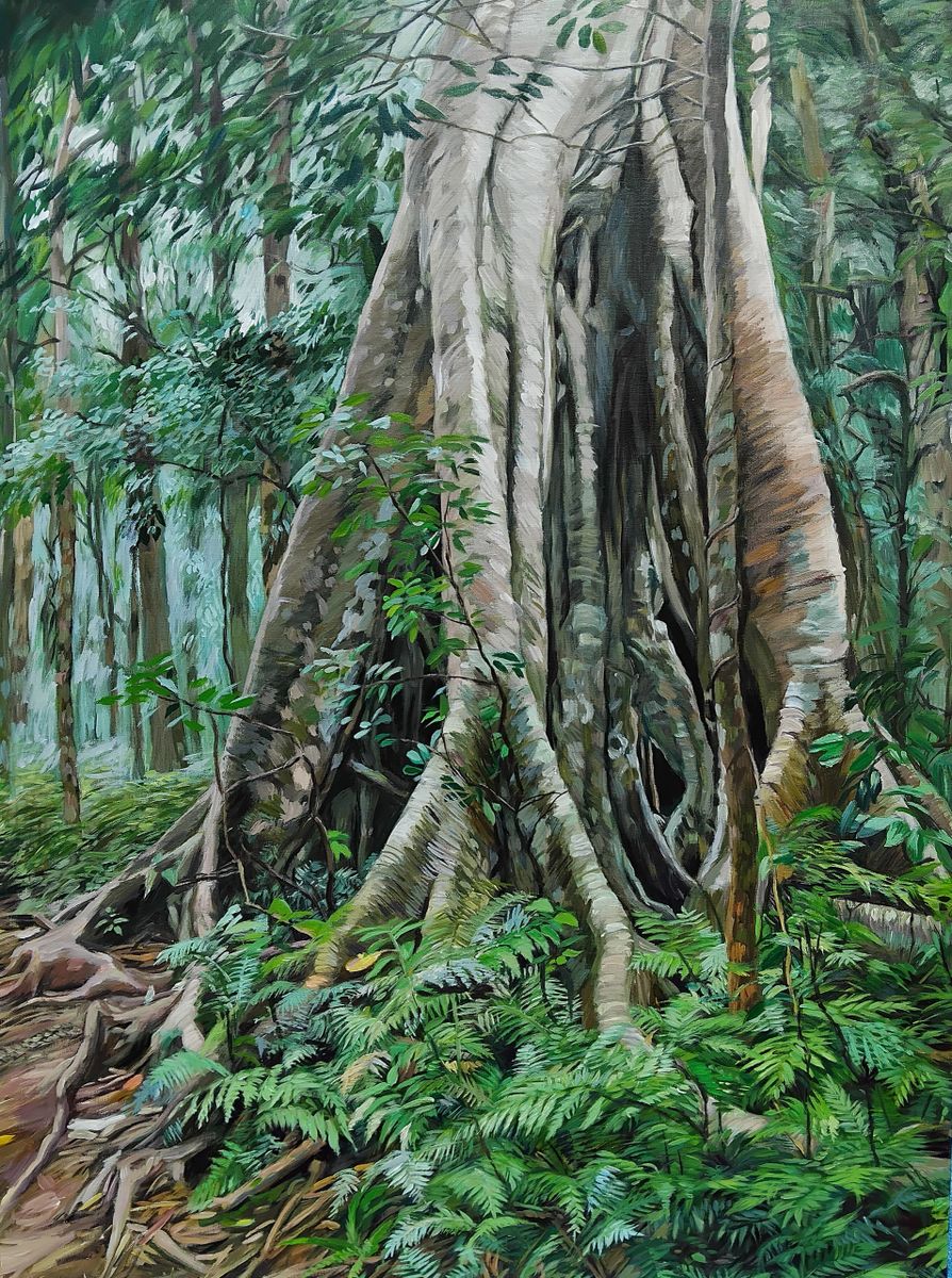 'Cedar fig and bracken understorey'
