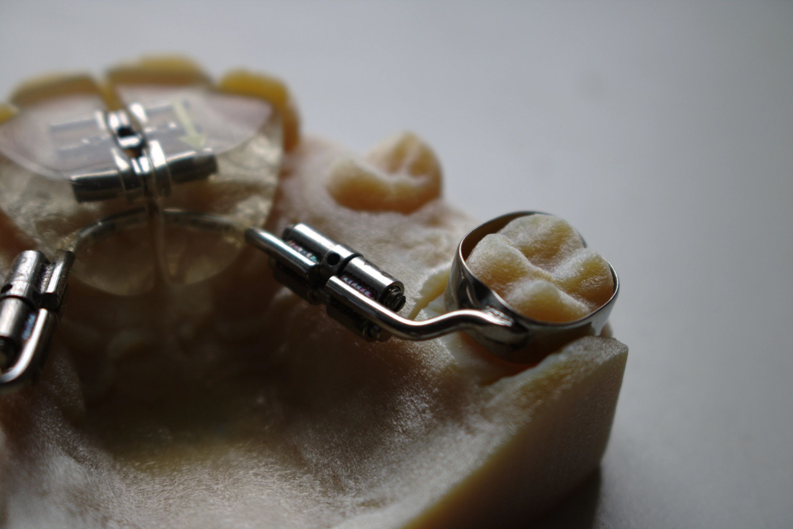 Rx Form | Next Level Orthodontic Lab