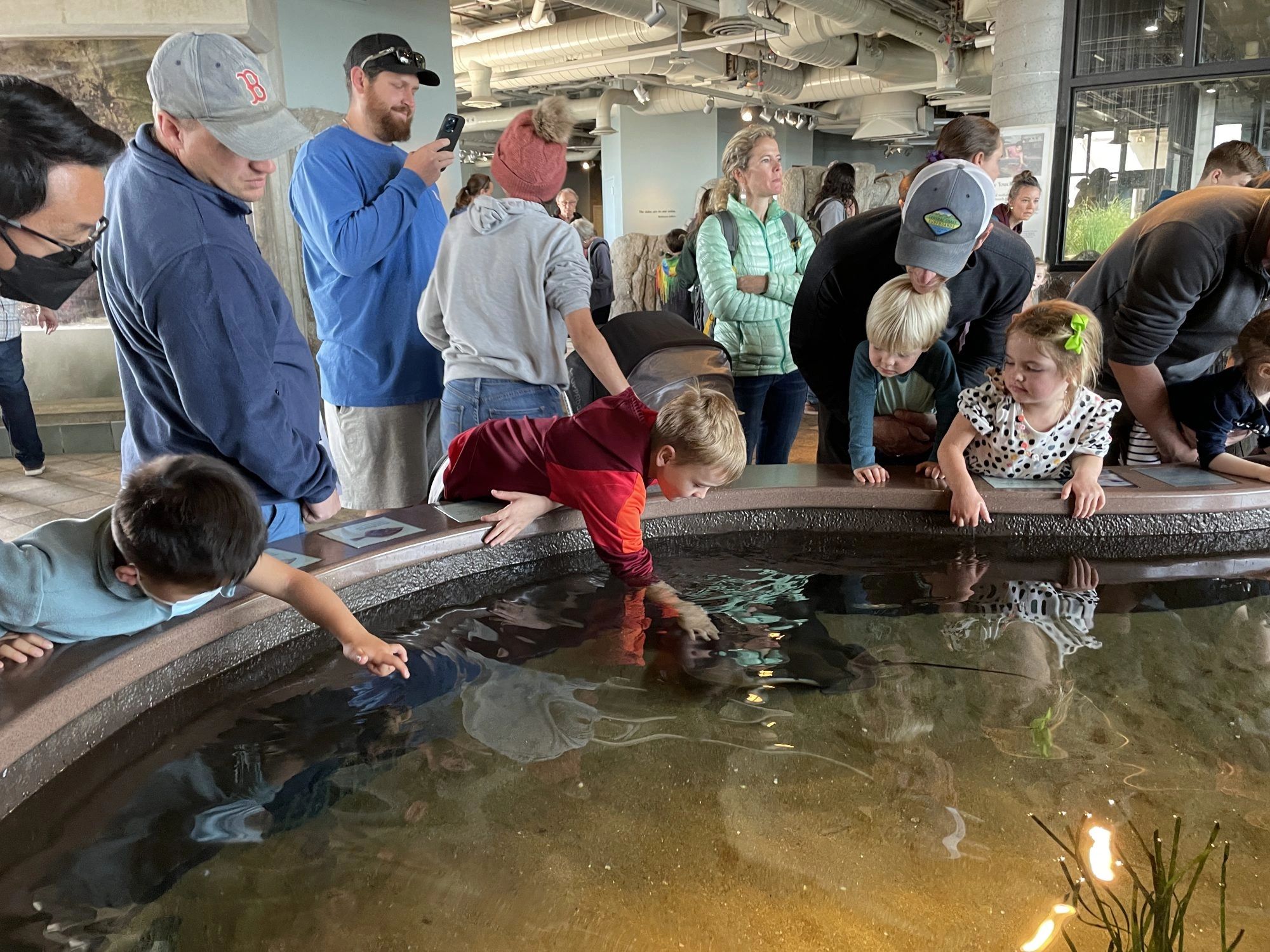 Navigating Bacterial Challenges: Touch Pool Exhibits in Aquariums