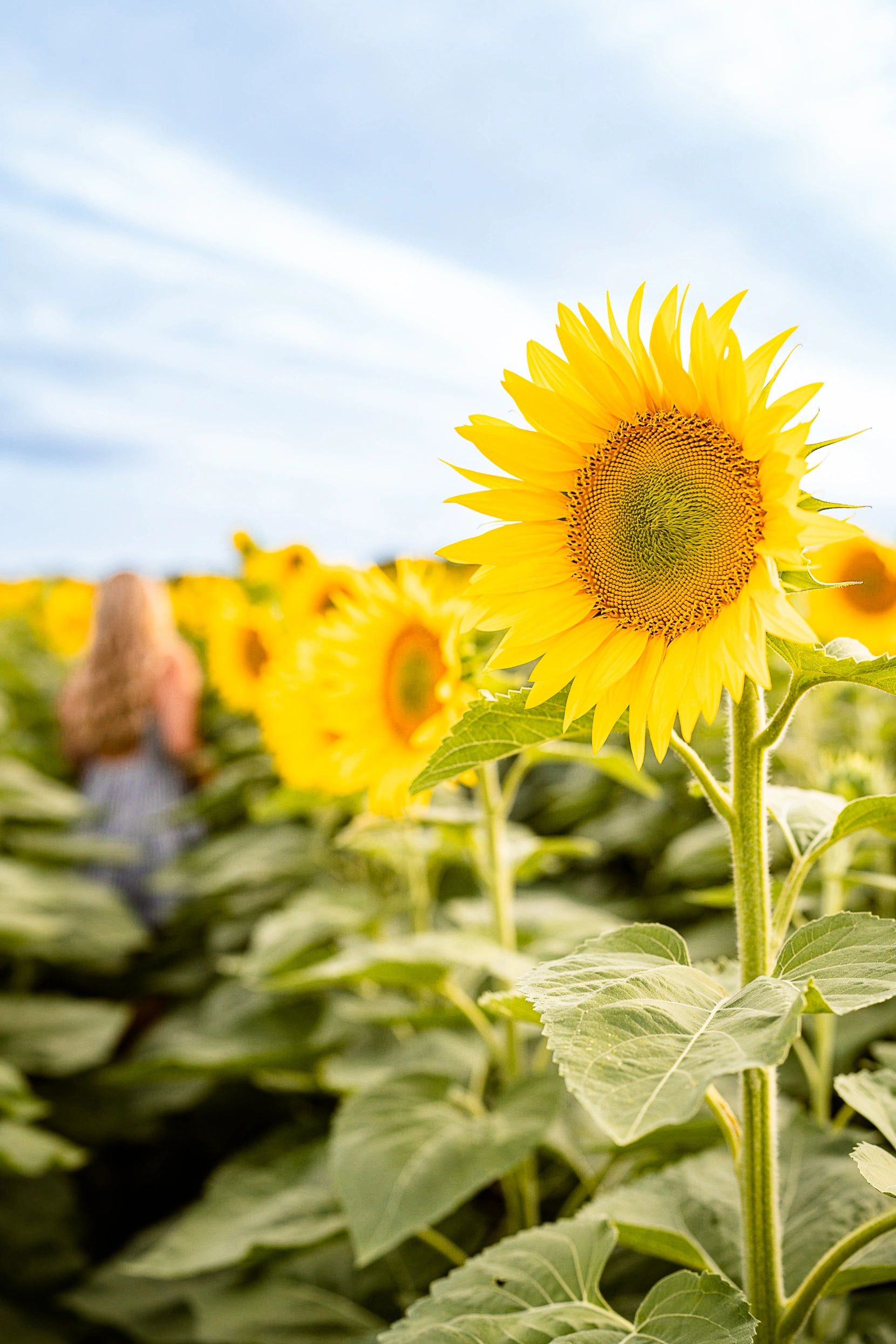 Colorful Edge Photography