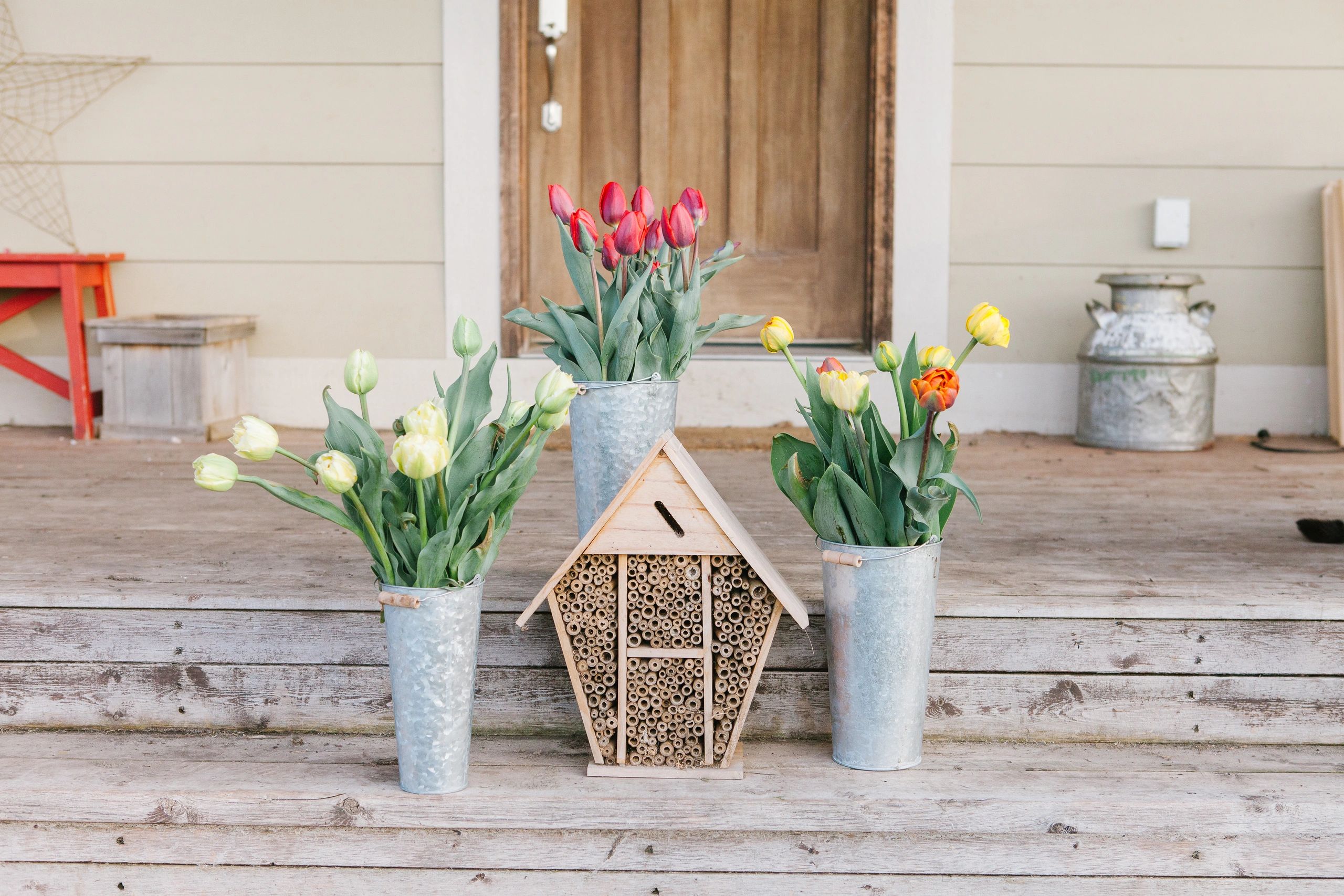 Flowers | Primrose Lane Farm