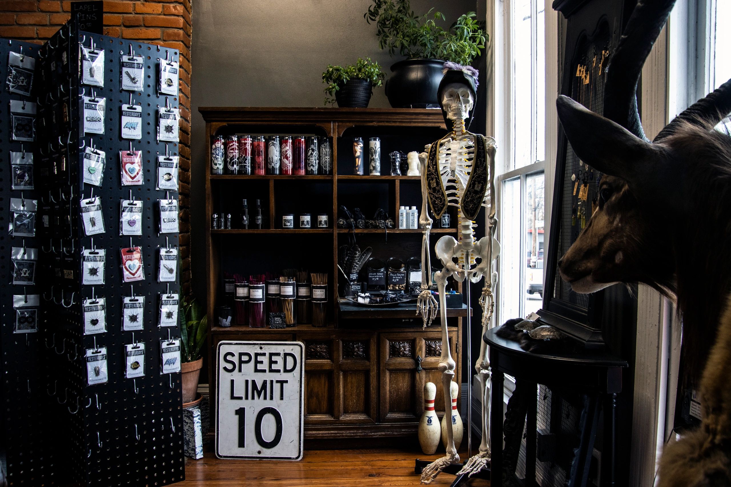 Unorthodox - Oddities, Art