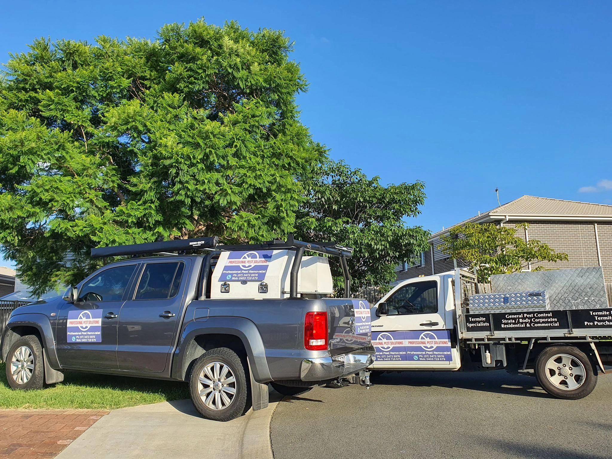 Professional Pest Solutions and Removals