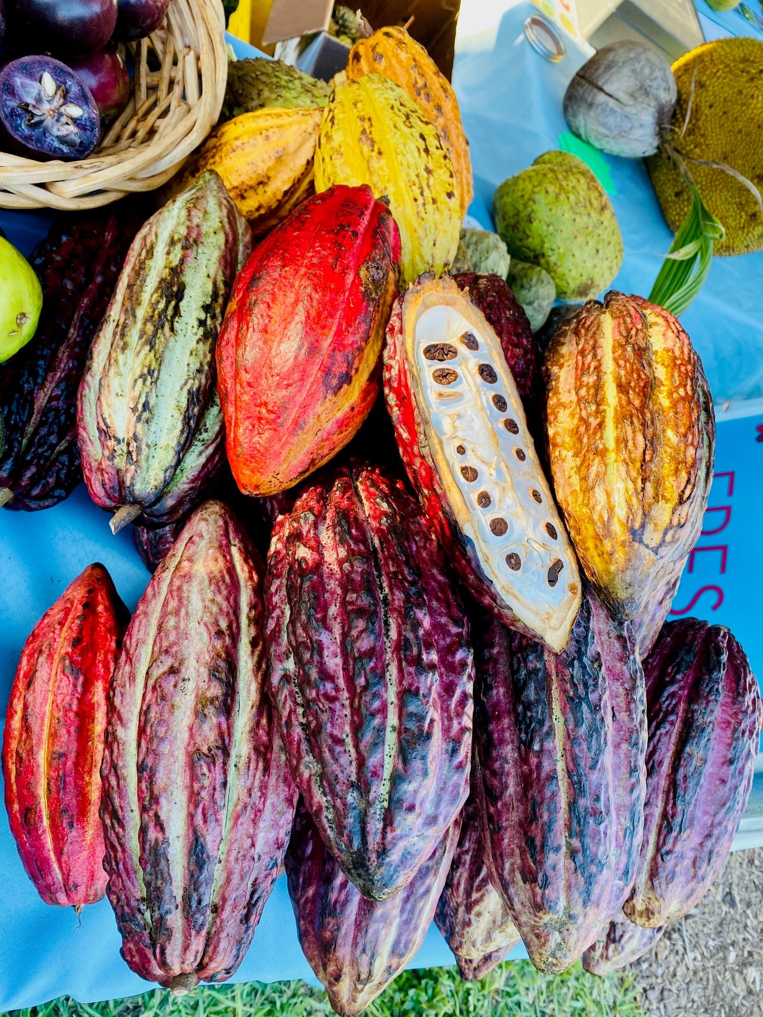 ChocoBliss - Hand-Made Chocolates, Vegan Chocolate