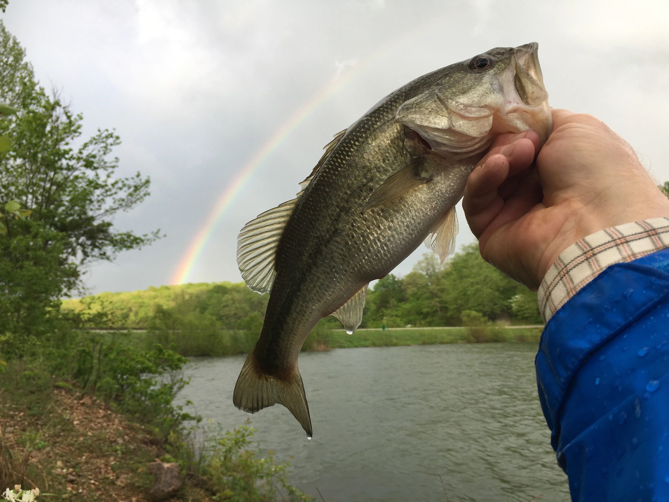 Innsbrook Lake Inventory