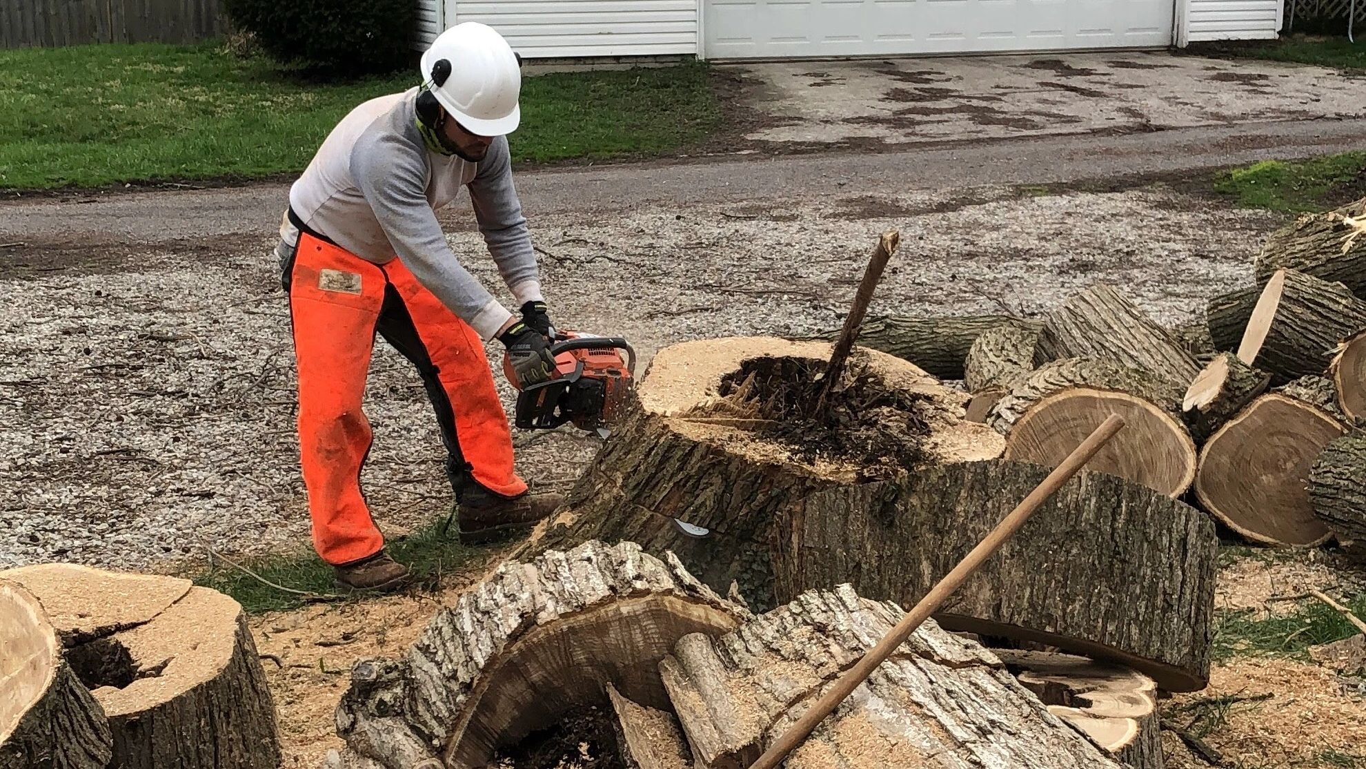 Loaeza & Vargas Tree Service