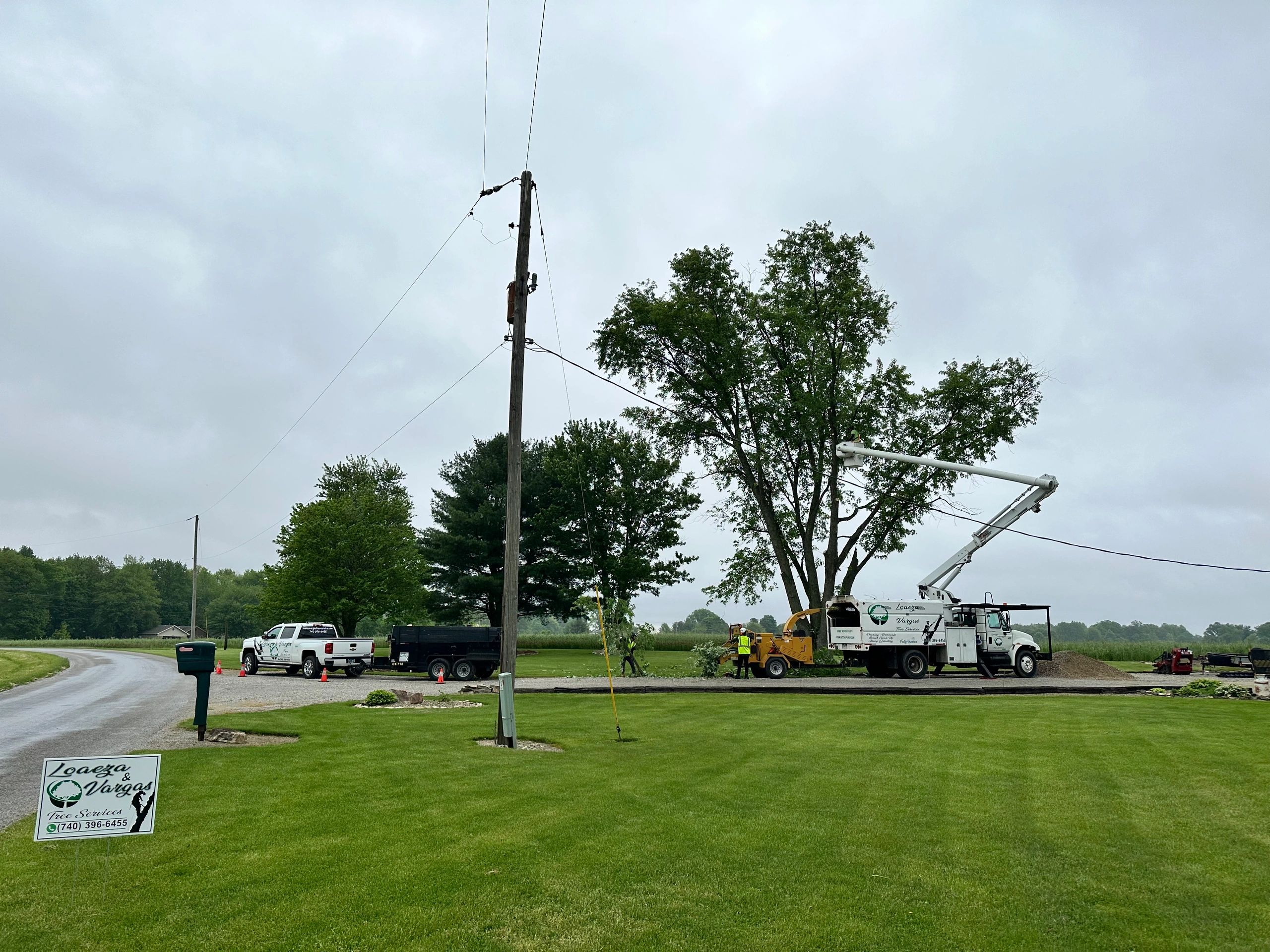 Loaeza & Vargas Tree Service