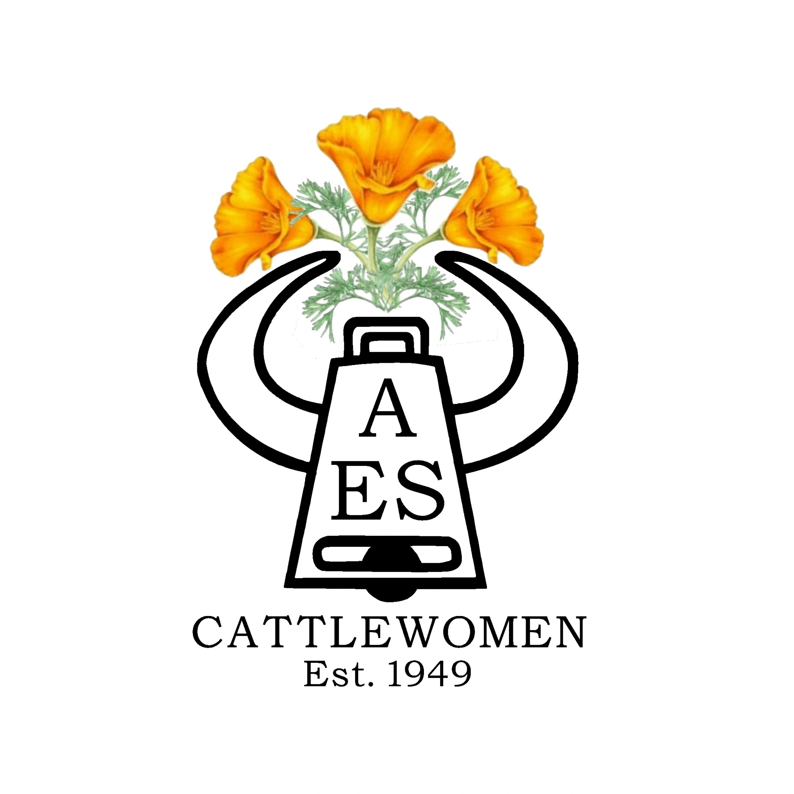 History of AES