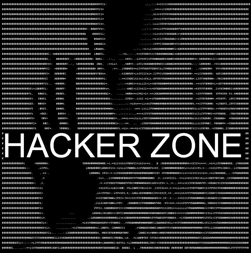 Welcome to The Hacker Zone!