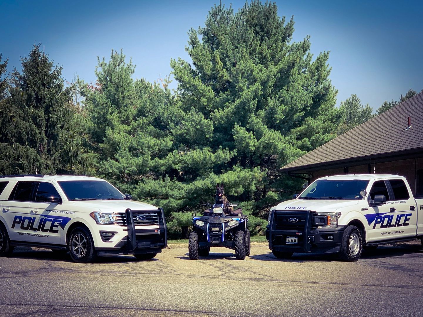 Department Members