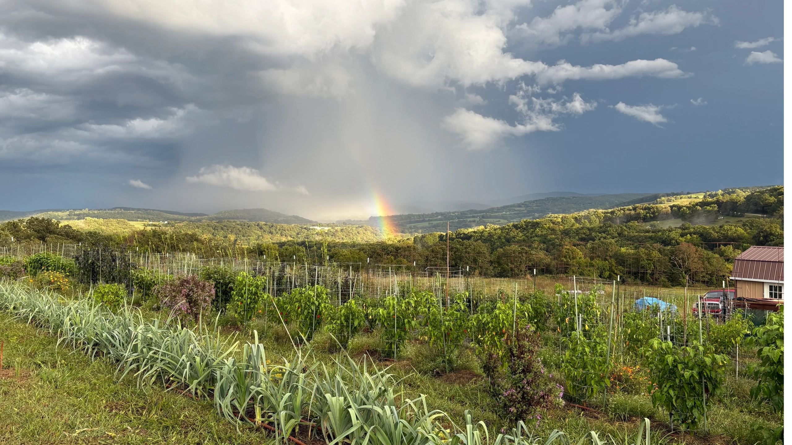 About | Butterfrog Farms