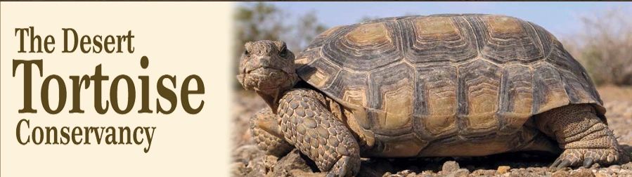 Desert Tortoise - The Desert Tortoise Conservancy