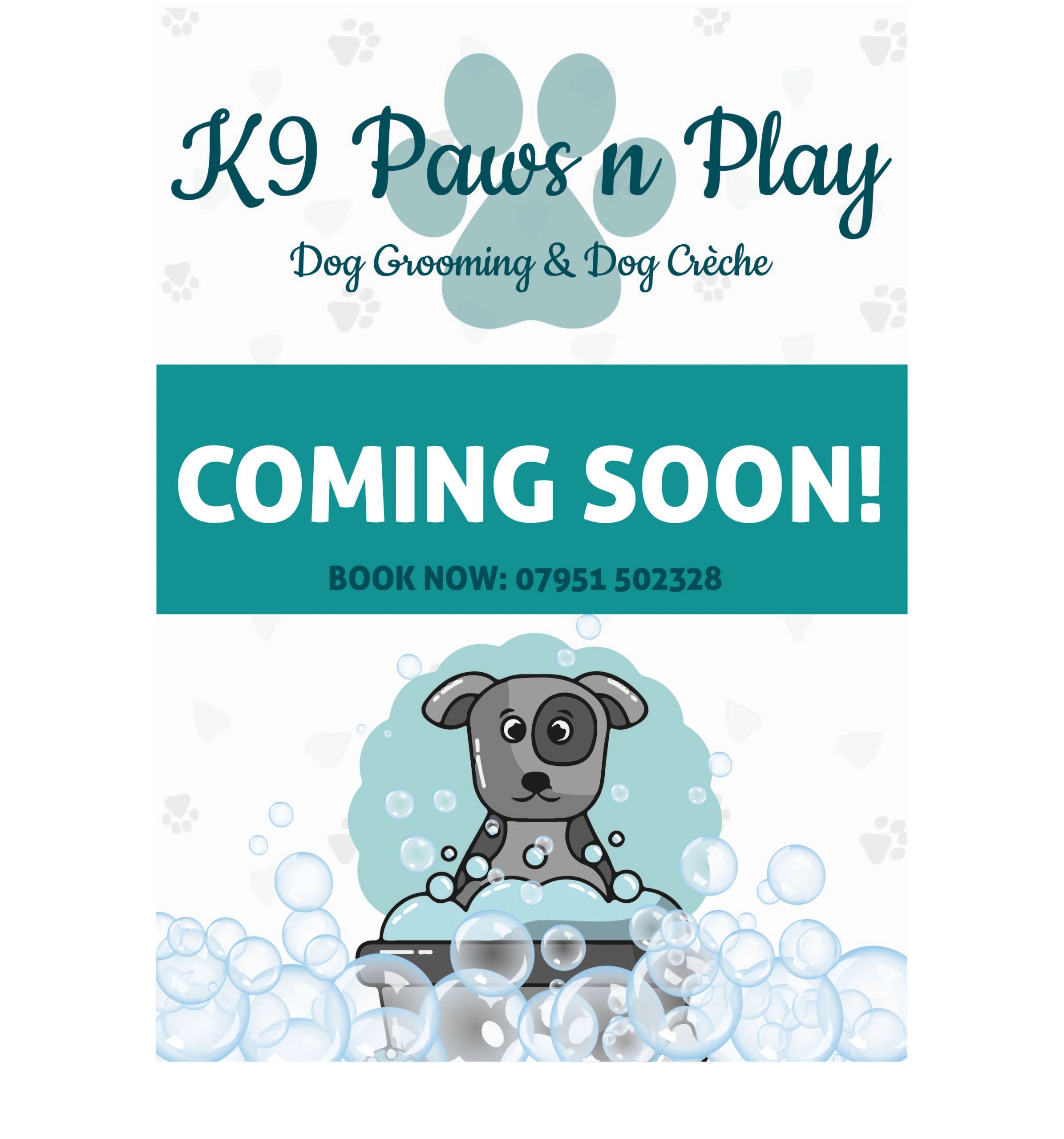 K9 Paws n Play