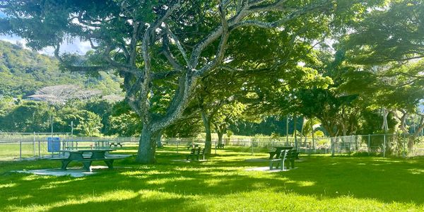 Windward Dog Park Hui - Off-Leash Dog Park, Windward Dog Park