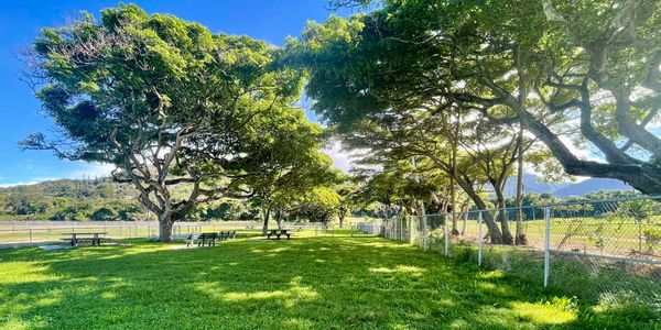 Windward Dog Park Hui - Off-Leash Dog Park, Windward Dog Park