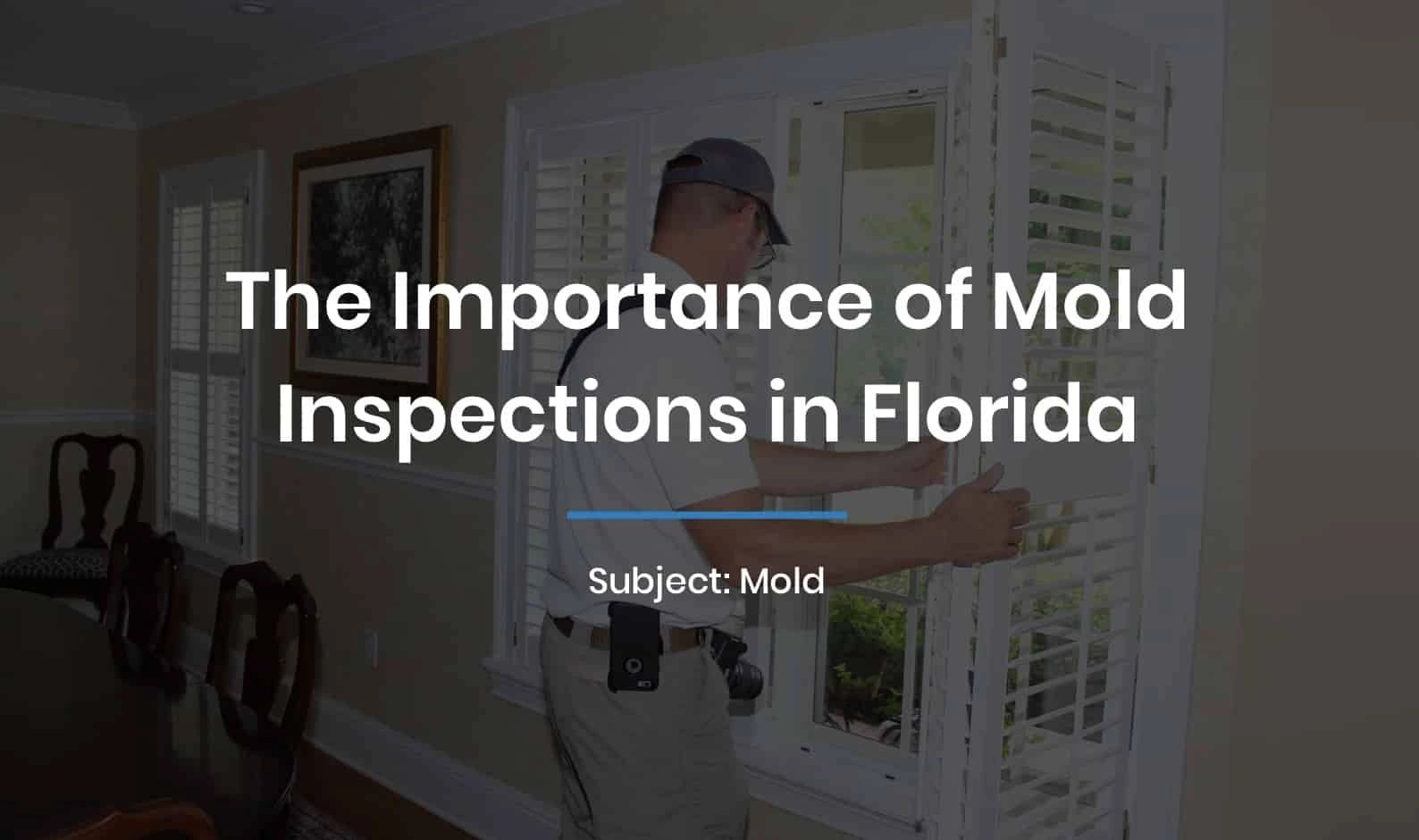 Mold Inspections