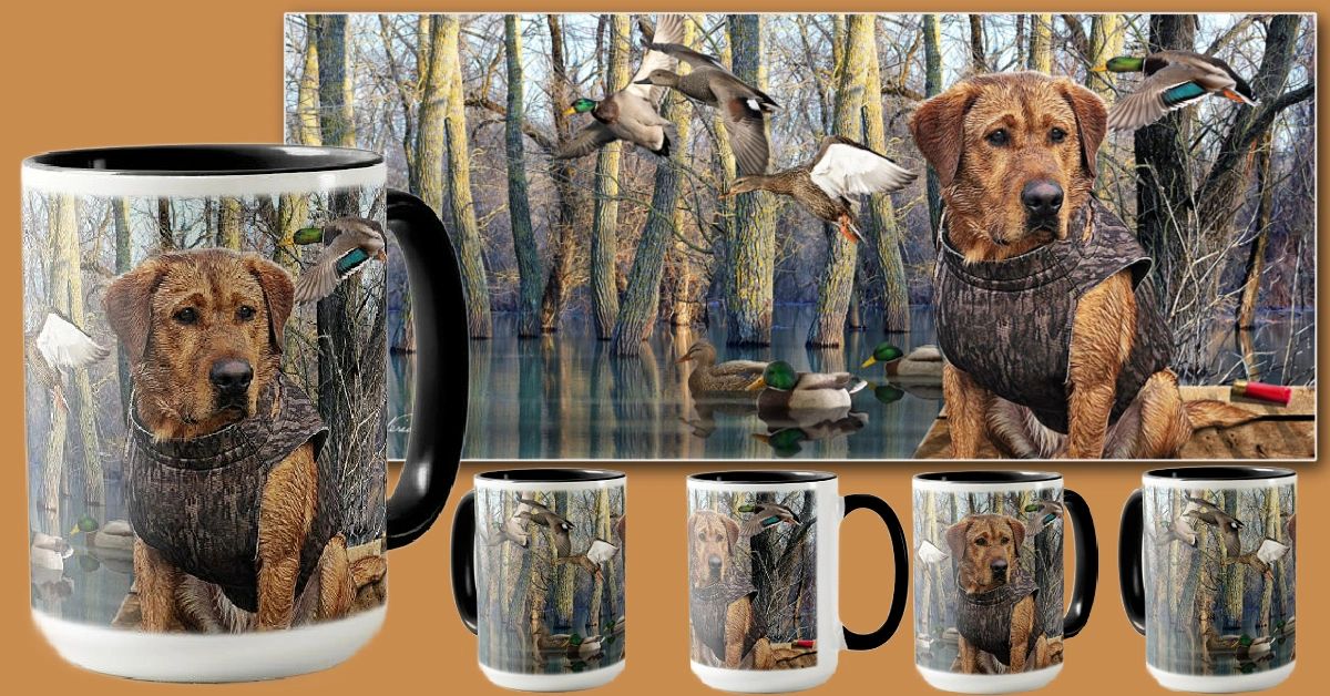 OUT FOXED GREEN AND GREY