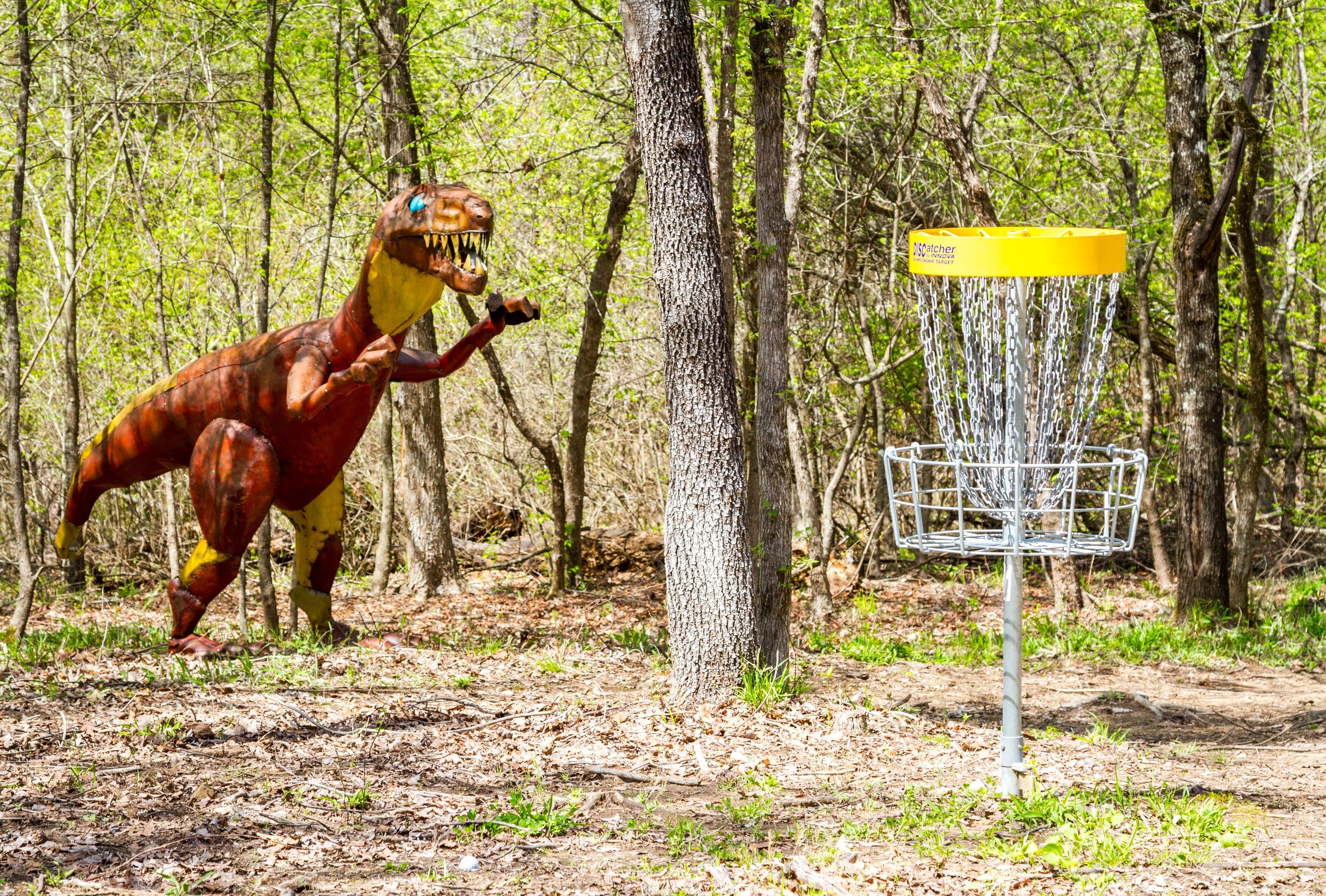Cabin Rental | Dinosaur Valley Disc Golf