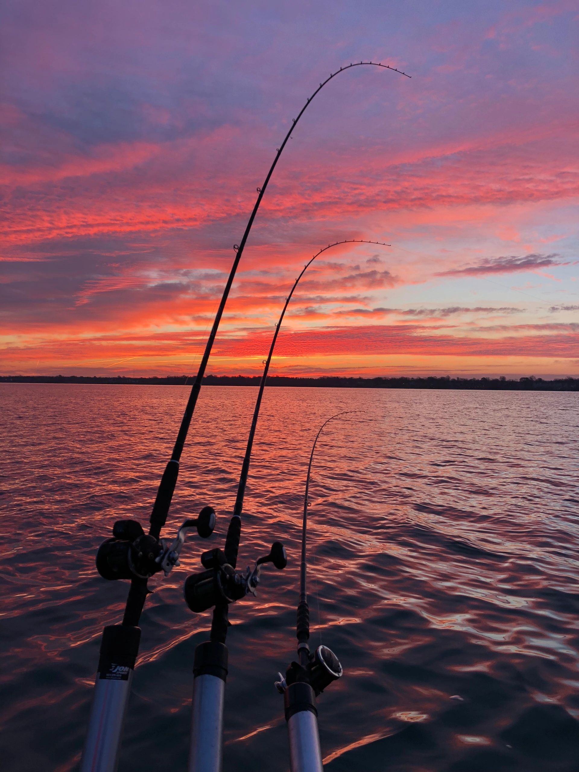 504 Sportfishing - Fishing Charter, Walleye