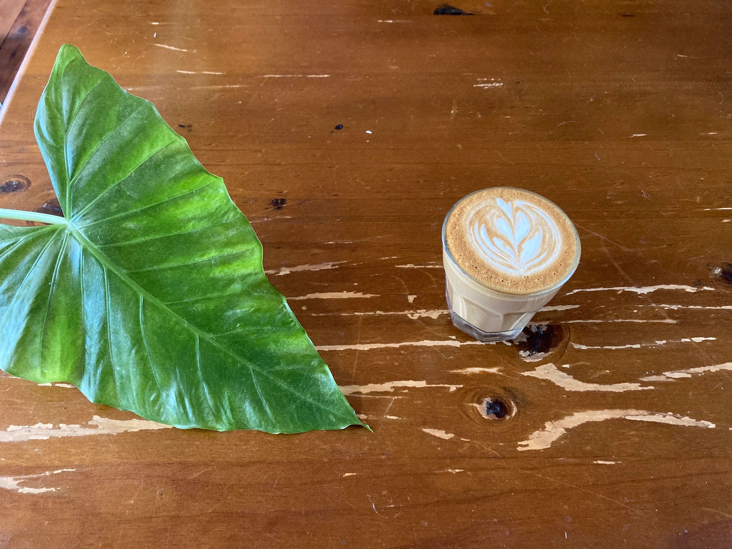 Brood Coffee - Specialty Coffee - Toowoomba, Queensland