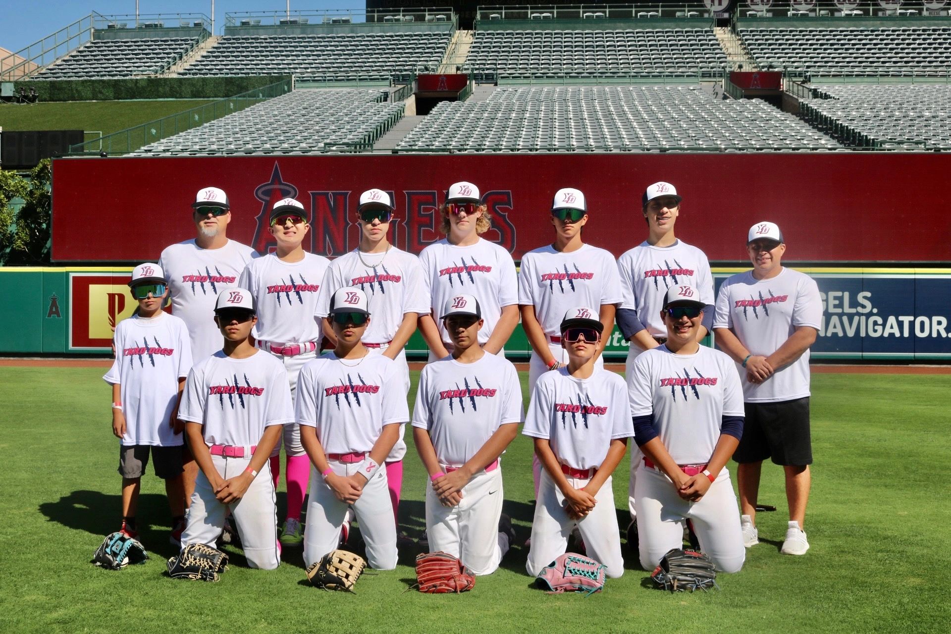 Yard Dog Baseball - Home