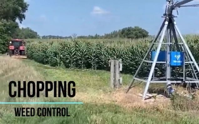 Chopping- Weed Control