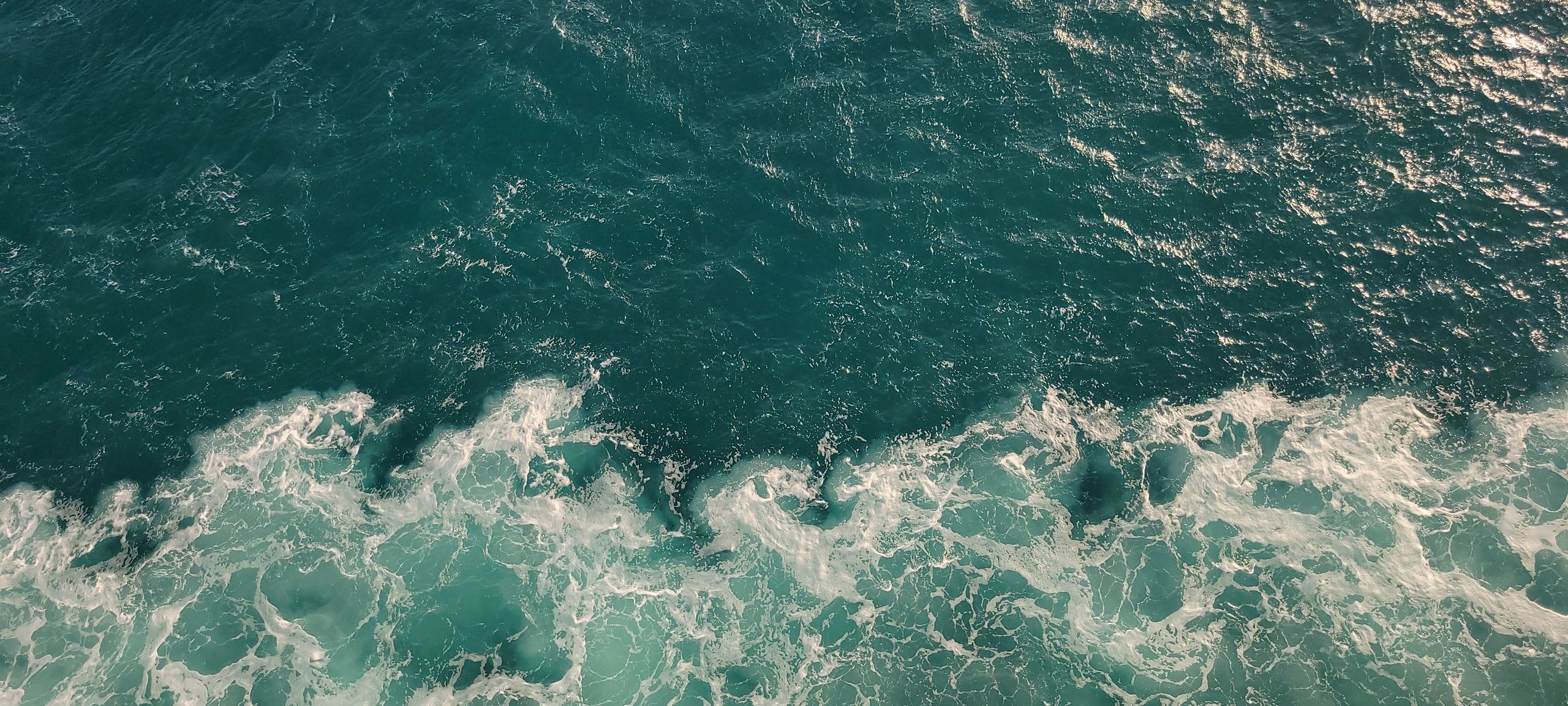 Molly Fox Media - Journalism, Film, Photography