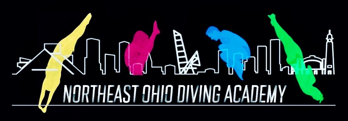 Springboard Diving Lessons