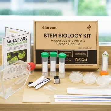 AlGreen - STEM Biology Kit, Microalgae