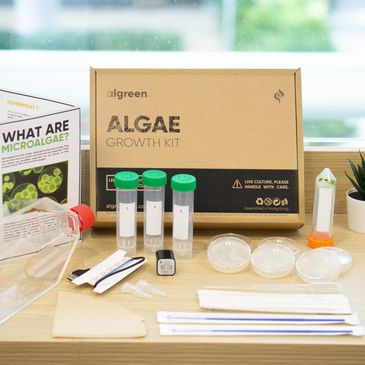 AlGreen - STEM Biology Kit, Microalgae