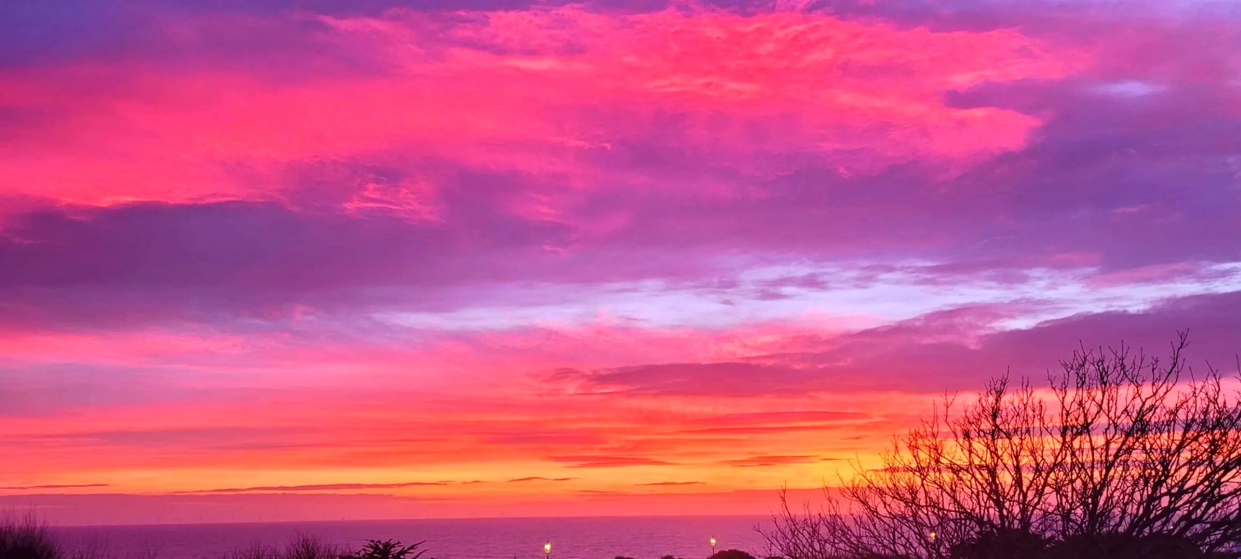 Current Opportunities