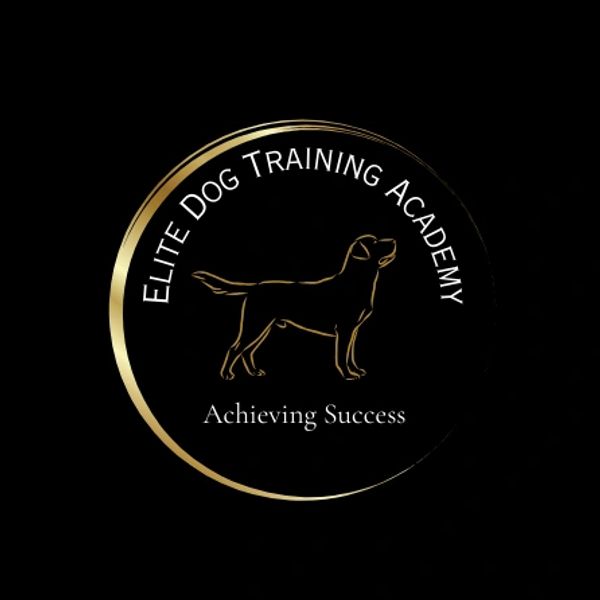 Elite Dog Training